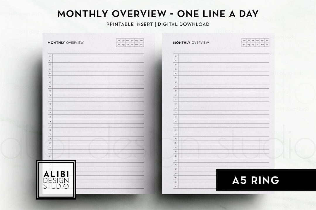 A5 One Line a Day Monthly Overview Daily Gratitude Journal Mood Tracker ...
