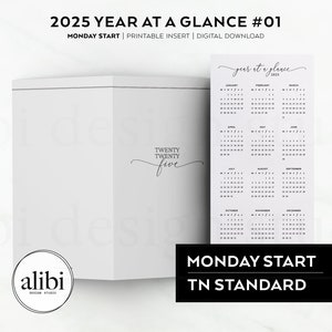 Standard TN 2025 Year at a Glance Planner Dashboard Printable Calendar ...