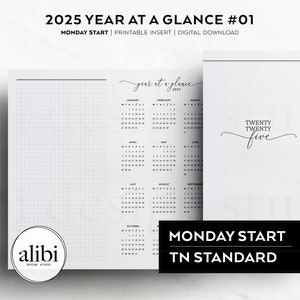Standard TN 2025 Year at a Glance Planner Dashboard Printable Calendar ...