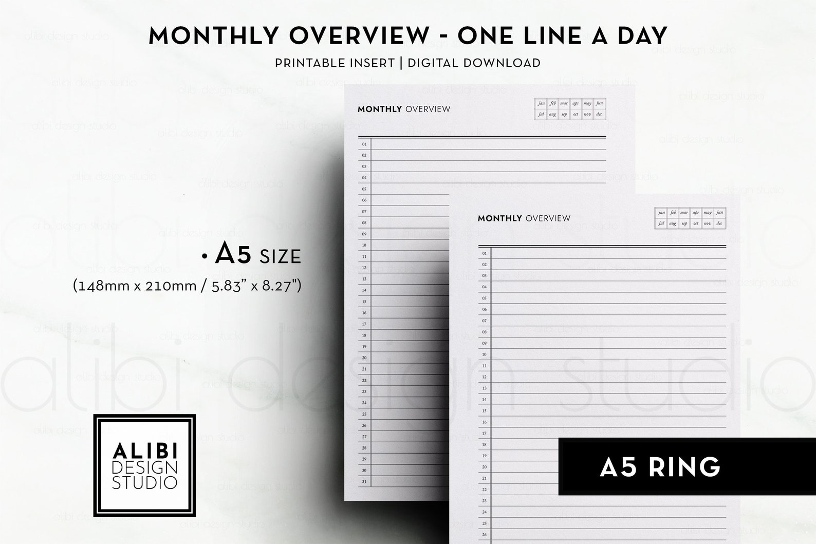 A5 One Line a Day Monthly Overview Daily Gratitude Journal | Etsy