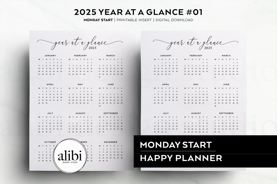 Happy Planner 2025 Year at a Glance Planner Dashboard Printable ...
