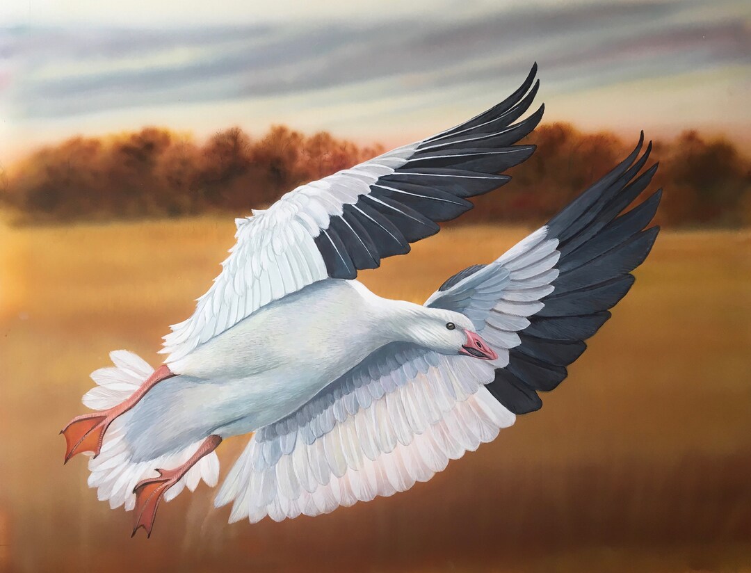 Original Wildlife Art Snow Goose Painting Unframed - Etsy