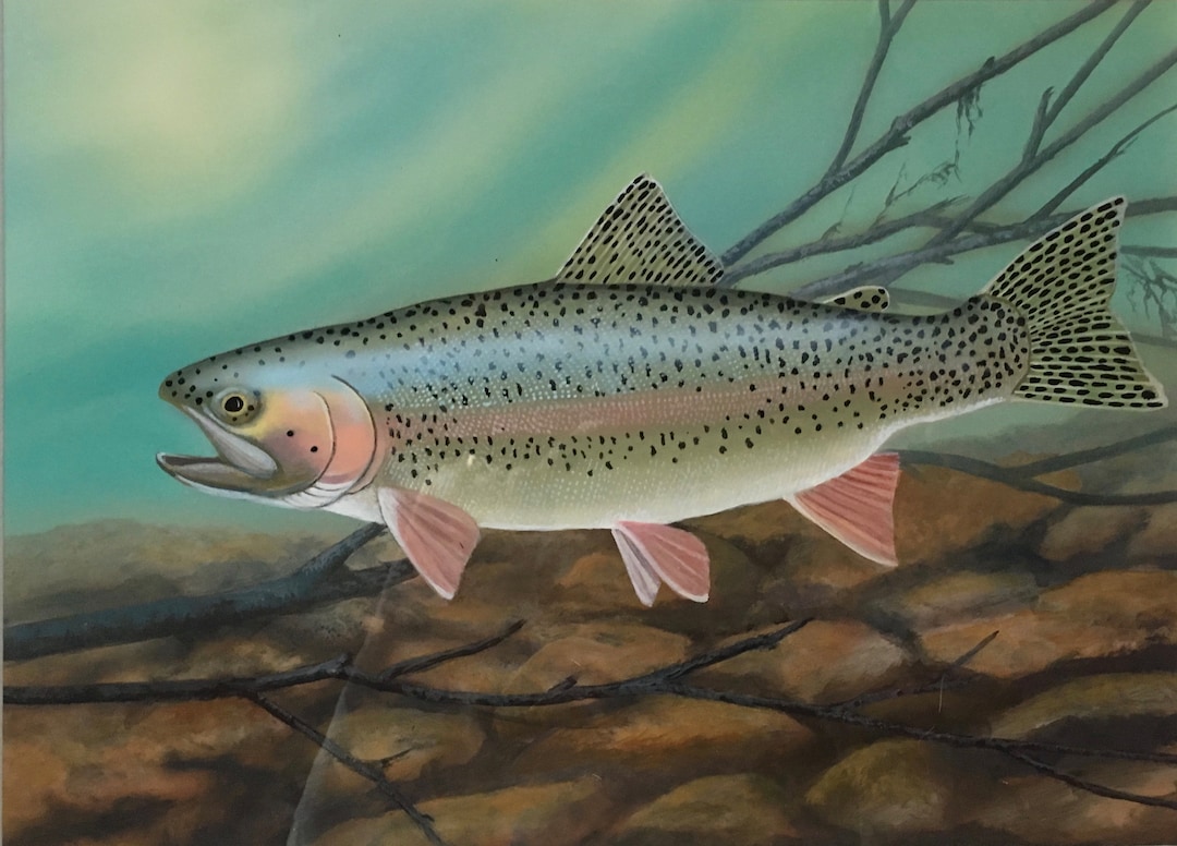 Rainbow Trout Original Painting - Original Wildlife Art by Robin J ...