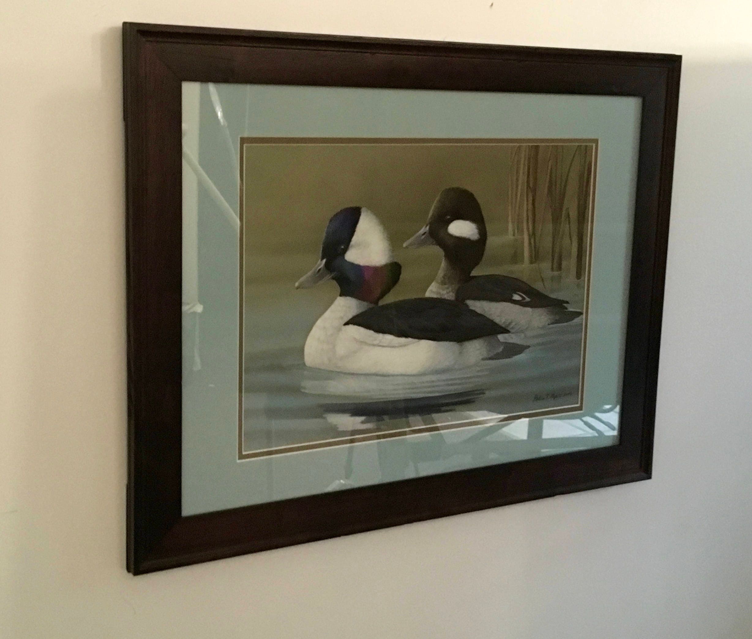 Bufflehead Hen Standing