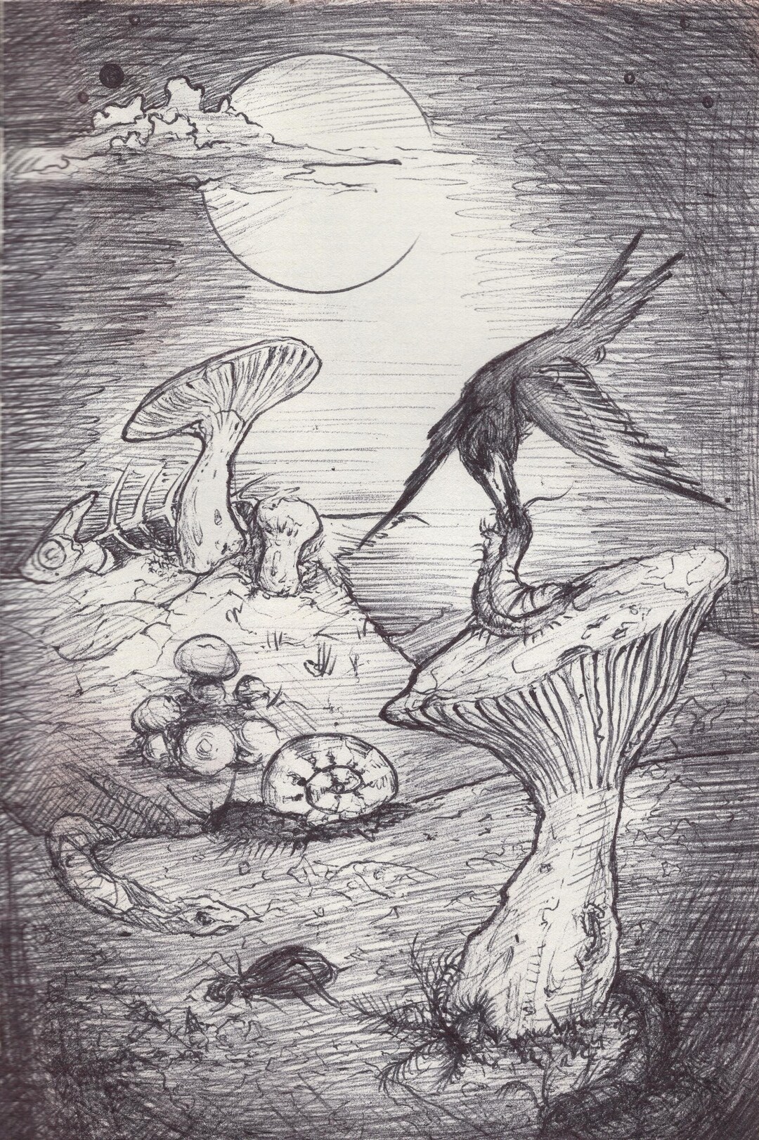 Nature Lactarius Bird Snail Fish Landscape Surreal Ballpoint Drawing ...