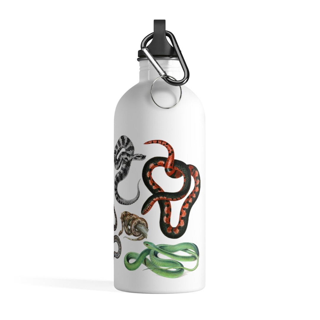 Vintage Snakes Illustrations 14 Oz Aluminum Water Bottle - Etsy