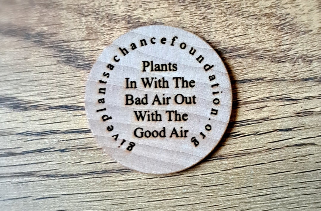 Plant 2 Wooden Token - Etsy