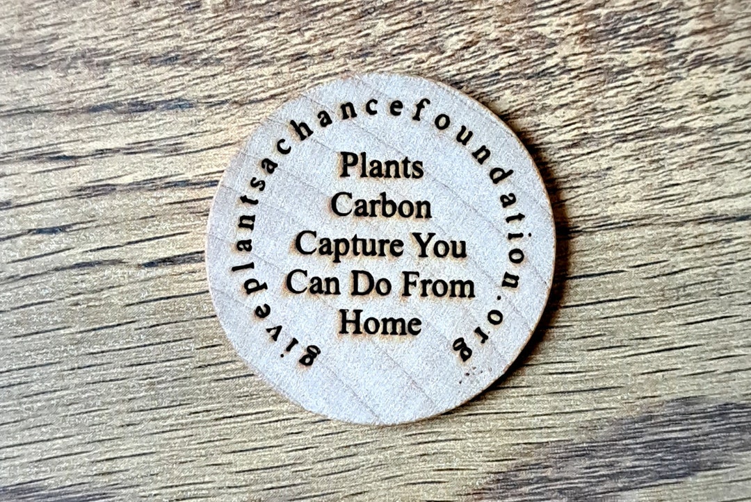 Plant 3 Wooden Token - Etsy