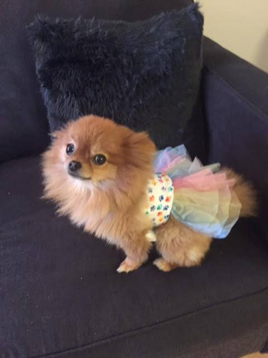 Puppy Pride - Etsy