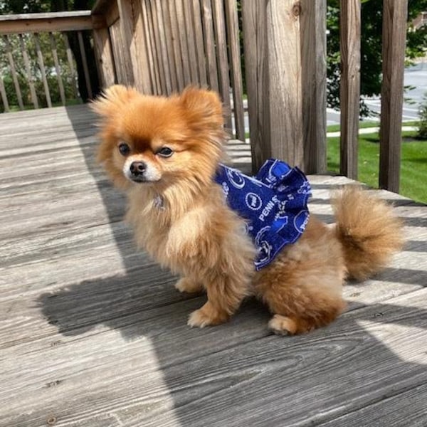 Ruffle Dog Harness - Etsy