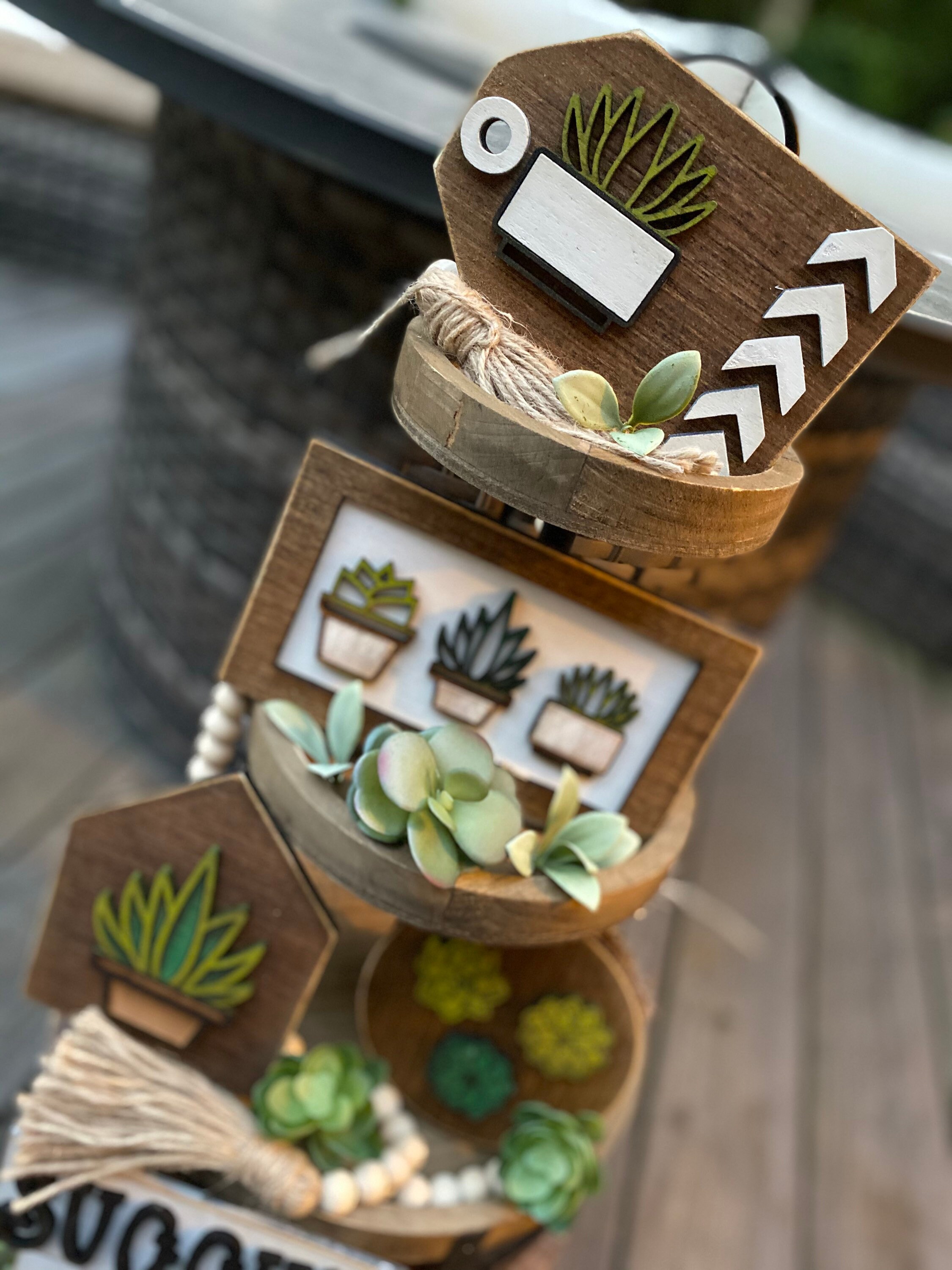 Succulent Signs/cactus Tiered Tray Decor/3d Signs /raedunn | Etsy
