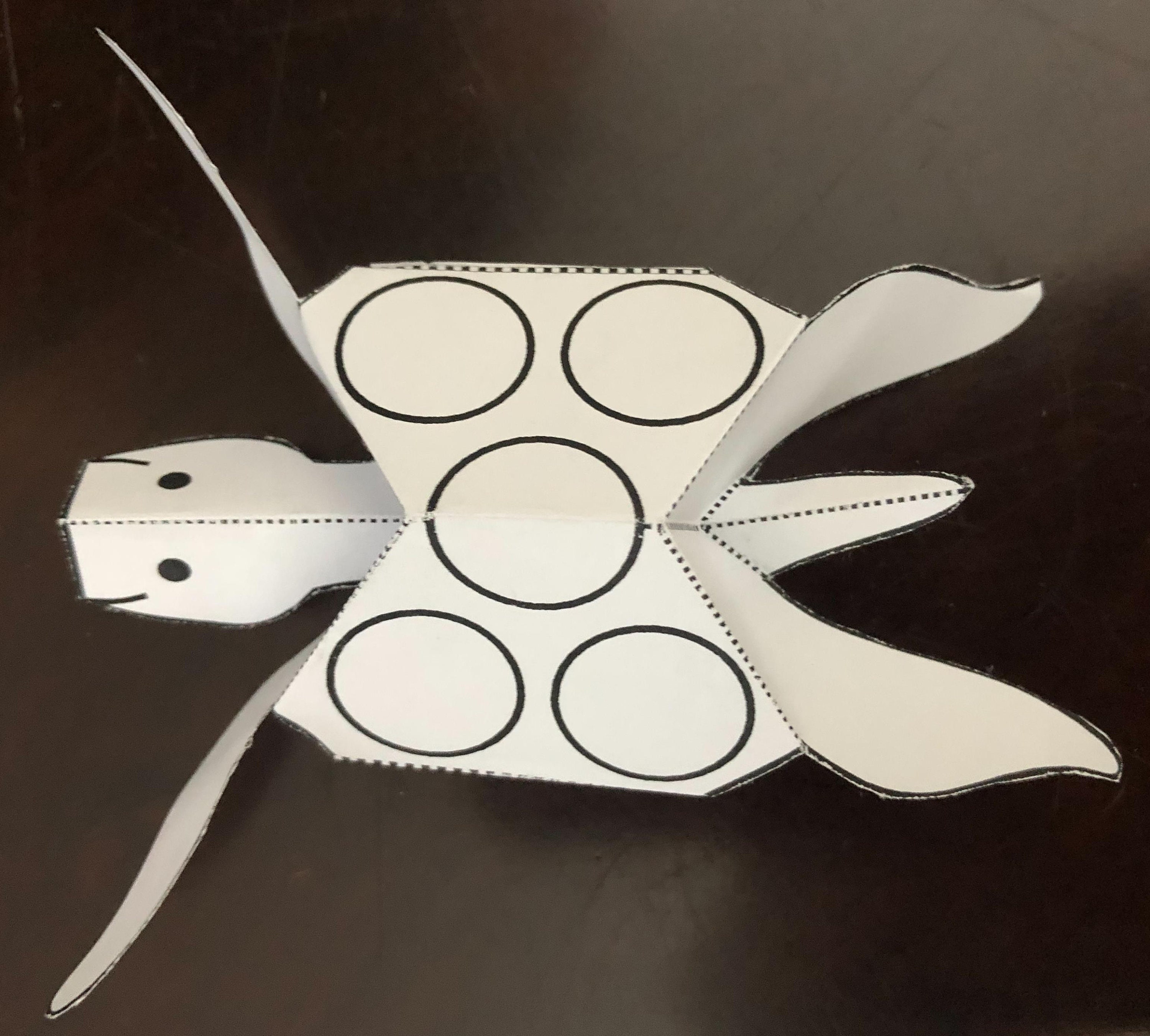 Sea Turtle Animals Printable Craft Activity for Kids, Digital Download ...