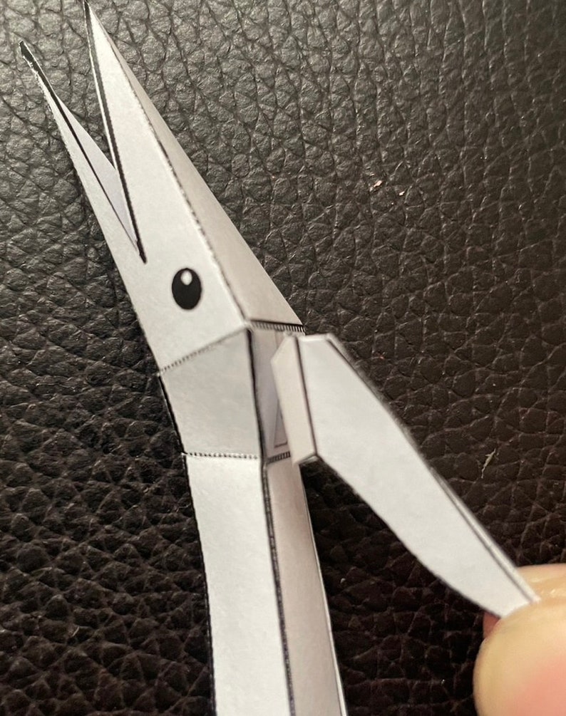 Pteranodon Pterosaur 3D Dinosaur Craft Paper Craft Printable Activity ...