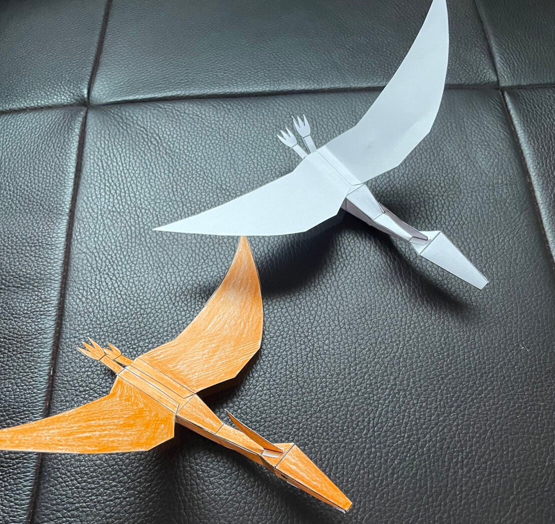 Pteranodon Pterosaur 3D Dinosaur Craft Paper Craft Printable Activity ...