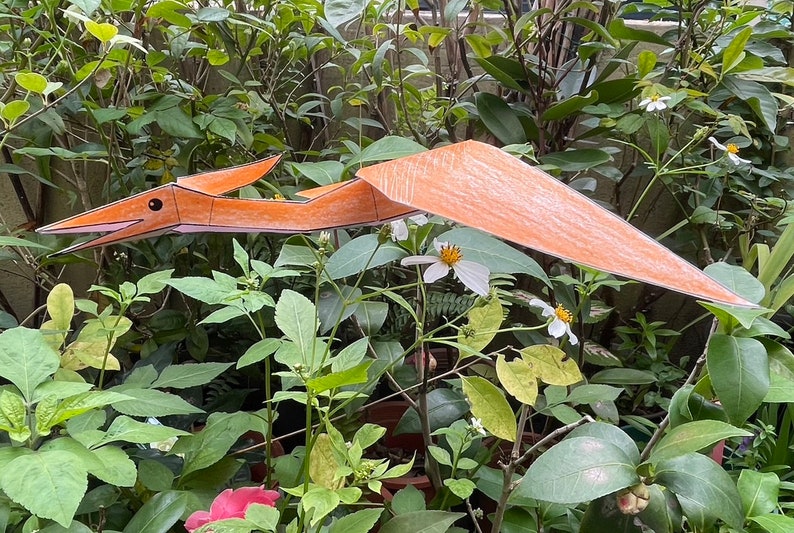 Pteranodon Pterosaur 3D Dinosaur Craft Paper Craft Printable Activity ...