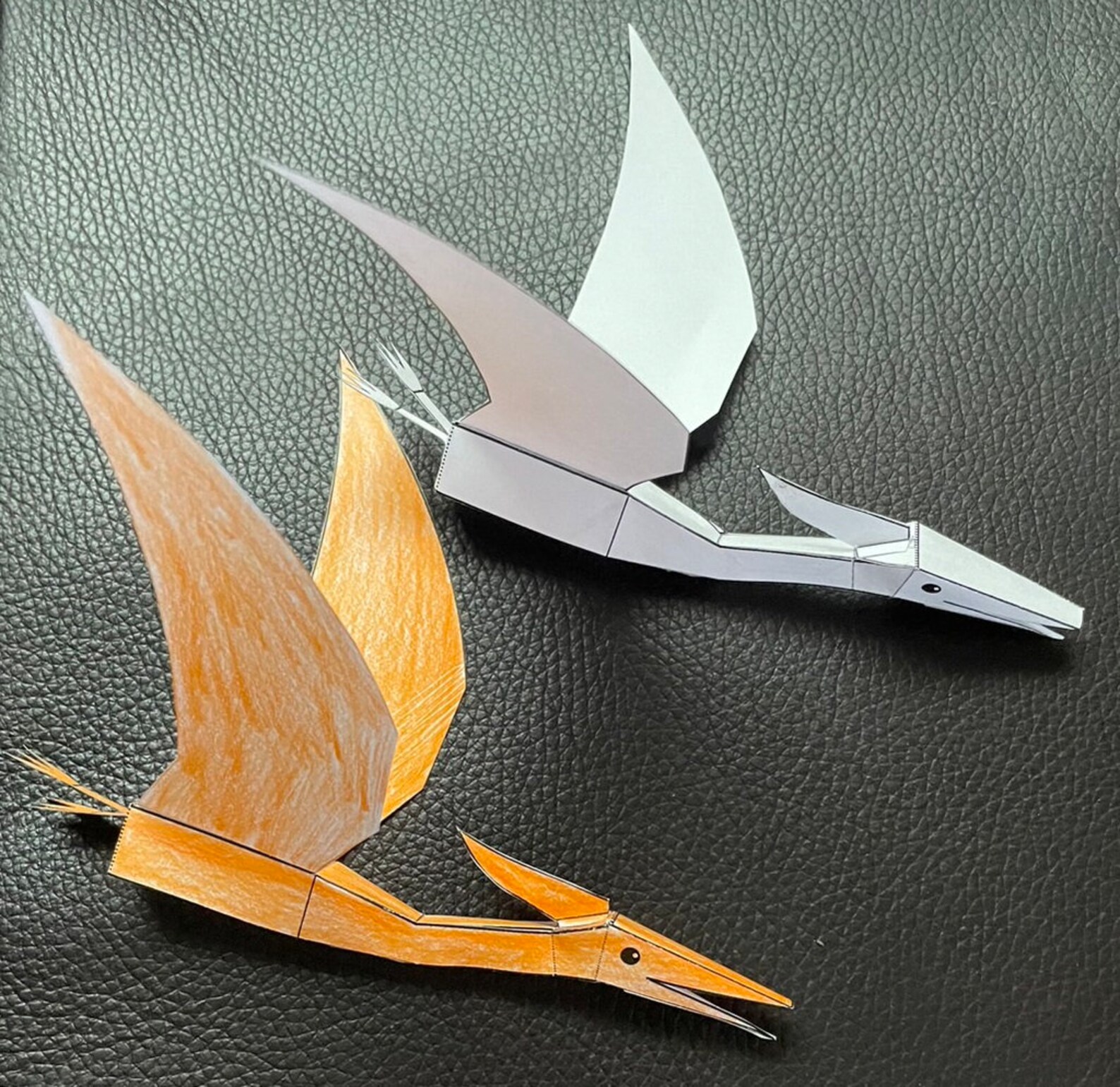 Pteranodon Pterosaur 3D Dinosaur Craft Paper Craft Printable Activity ...