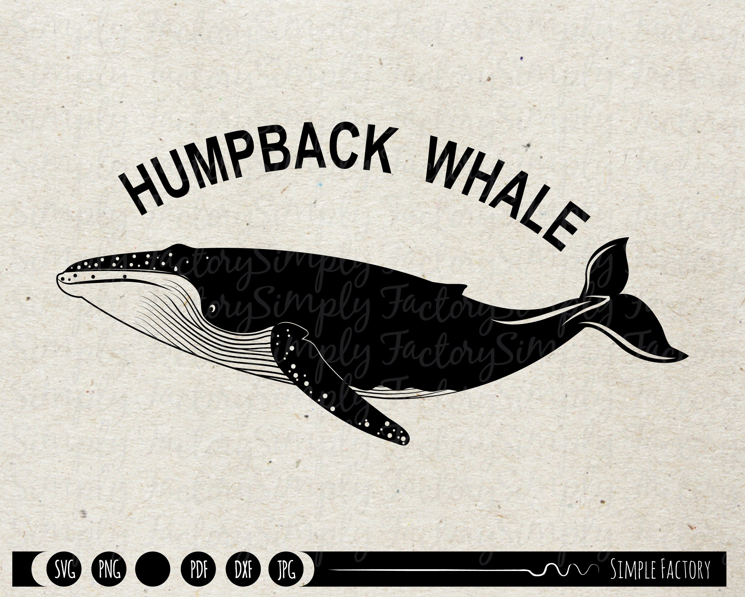 Humpback Whale Clipart Whale Svg Humpback Whale Ocean Sea - Etsy UK