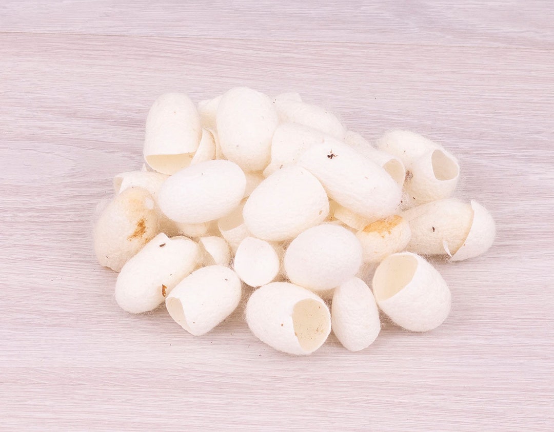 Silk Cocoons Natural Mulberry Silk Cocoons 50gr per Pack - Etsy