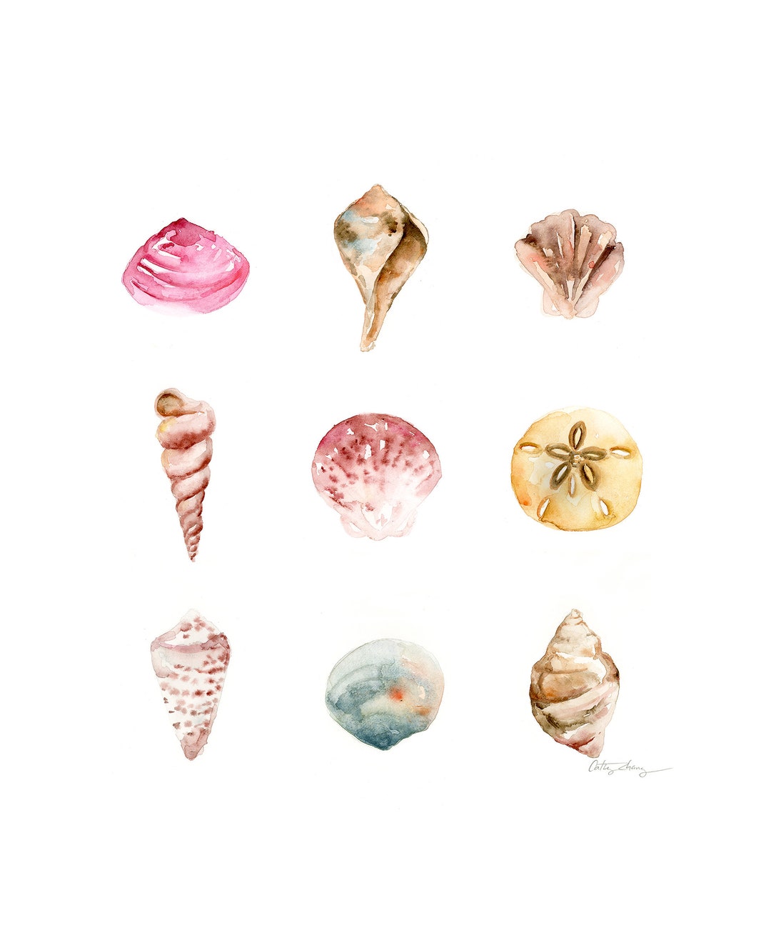 Sea Shells Watercolor Art Print: Modern Sea Shells Compilation Art ...