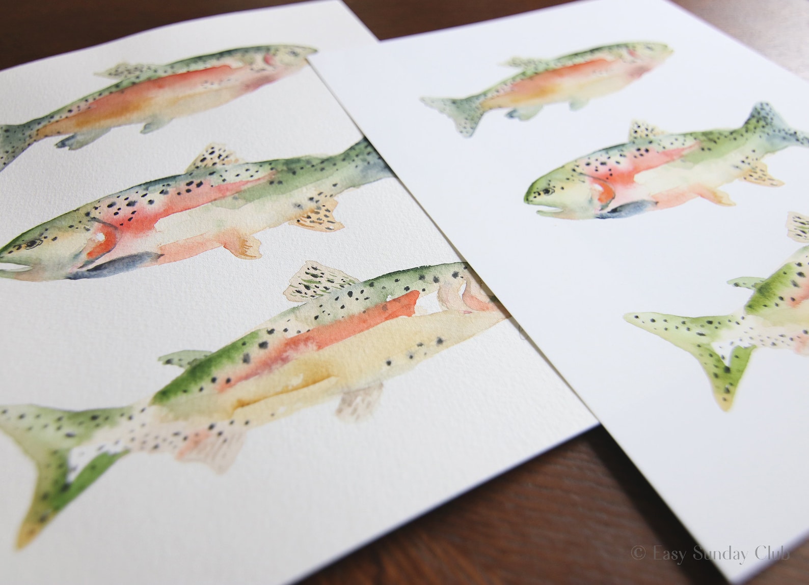 Rainbow Trout Watercolor Art Print / Rainbow Trout Trio Art Print ...