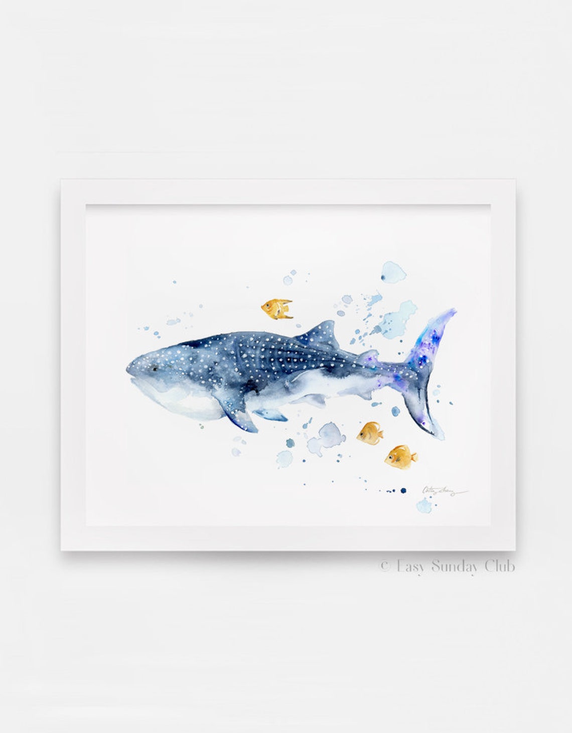 Whale Shark Watercolor Art Print : Ocean Wildlife Art Print / | Etsy