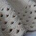 Rose Trellis Throw CROCHET PATTERN - Etsy