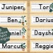 Boho Student Desk Name Tags Houseplant Theme Classroom Decor - Etsy