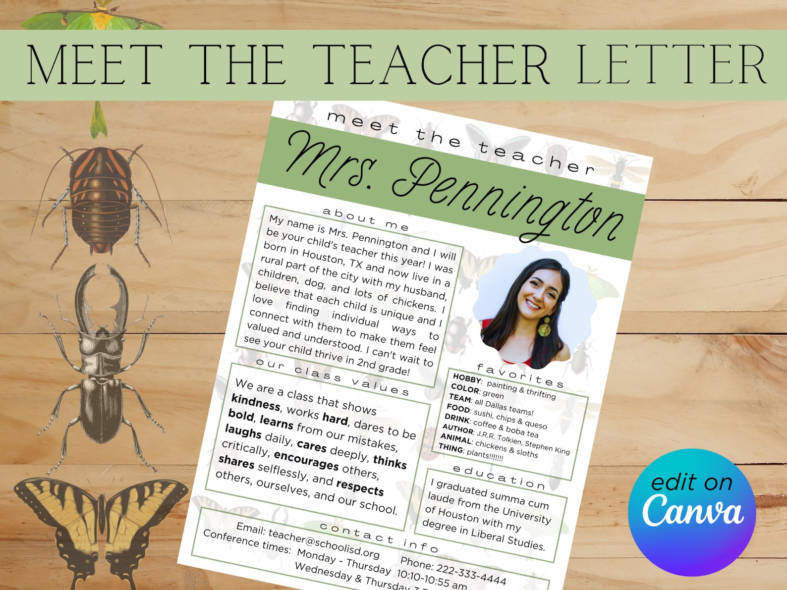 INSECT Meet the Teacher Letter Canva Template | Editable Meet the ...