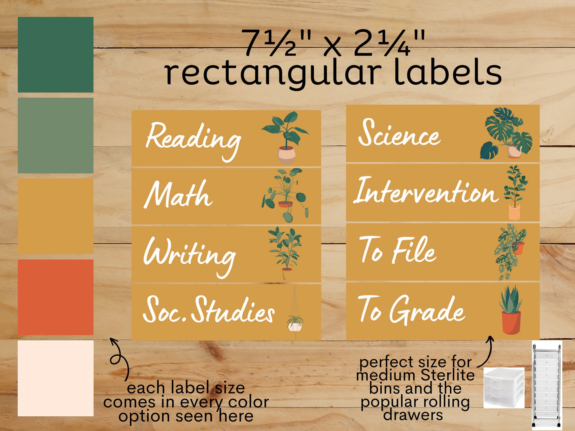 Boho Classroom Labels - Editable Houseplant Themed Classroom Decor - Etsy