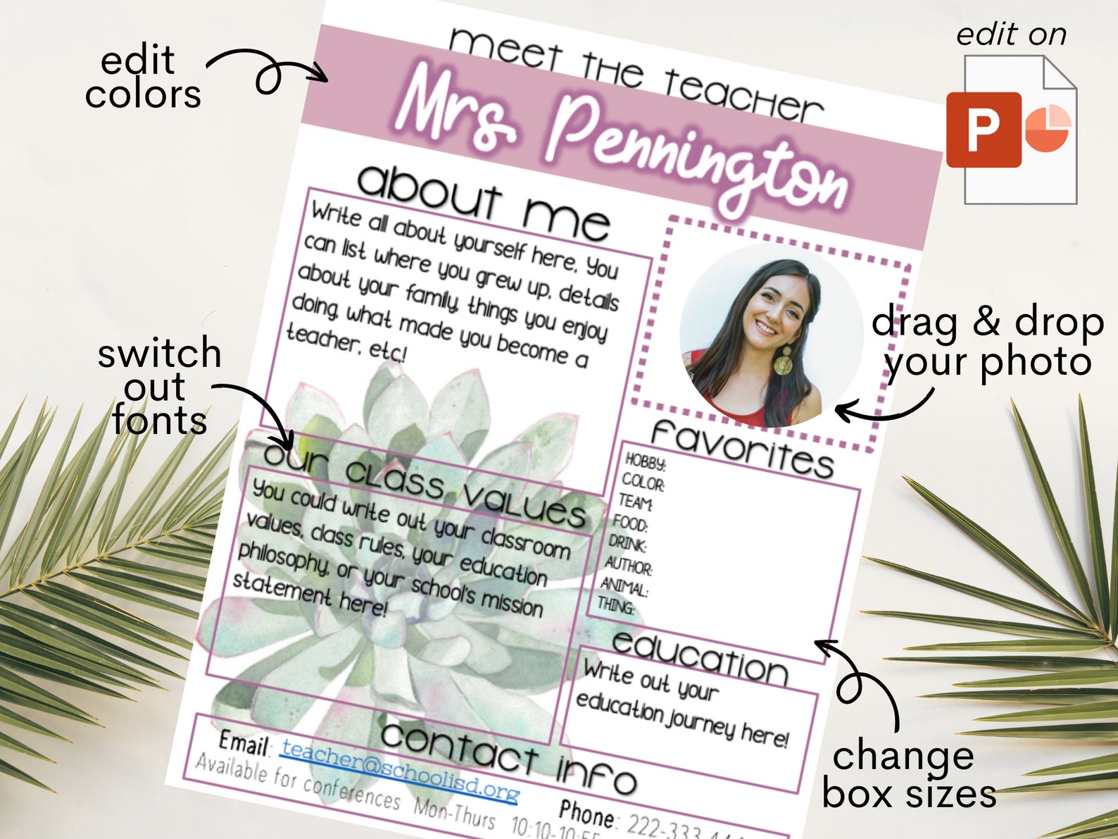 Meet the Teacher Letter Template - Pastel Succulent Theme *100% ...