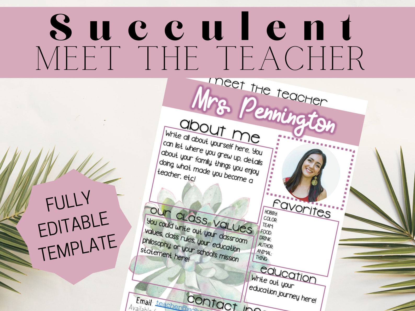 Meet the Teacher Letter Template - Pastel Succulent Theme *100% ...