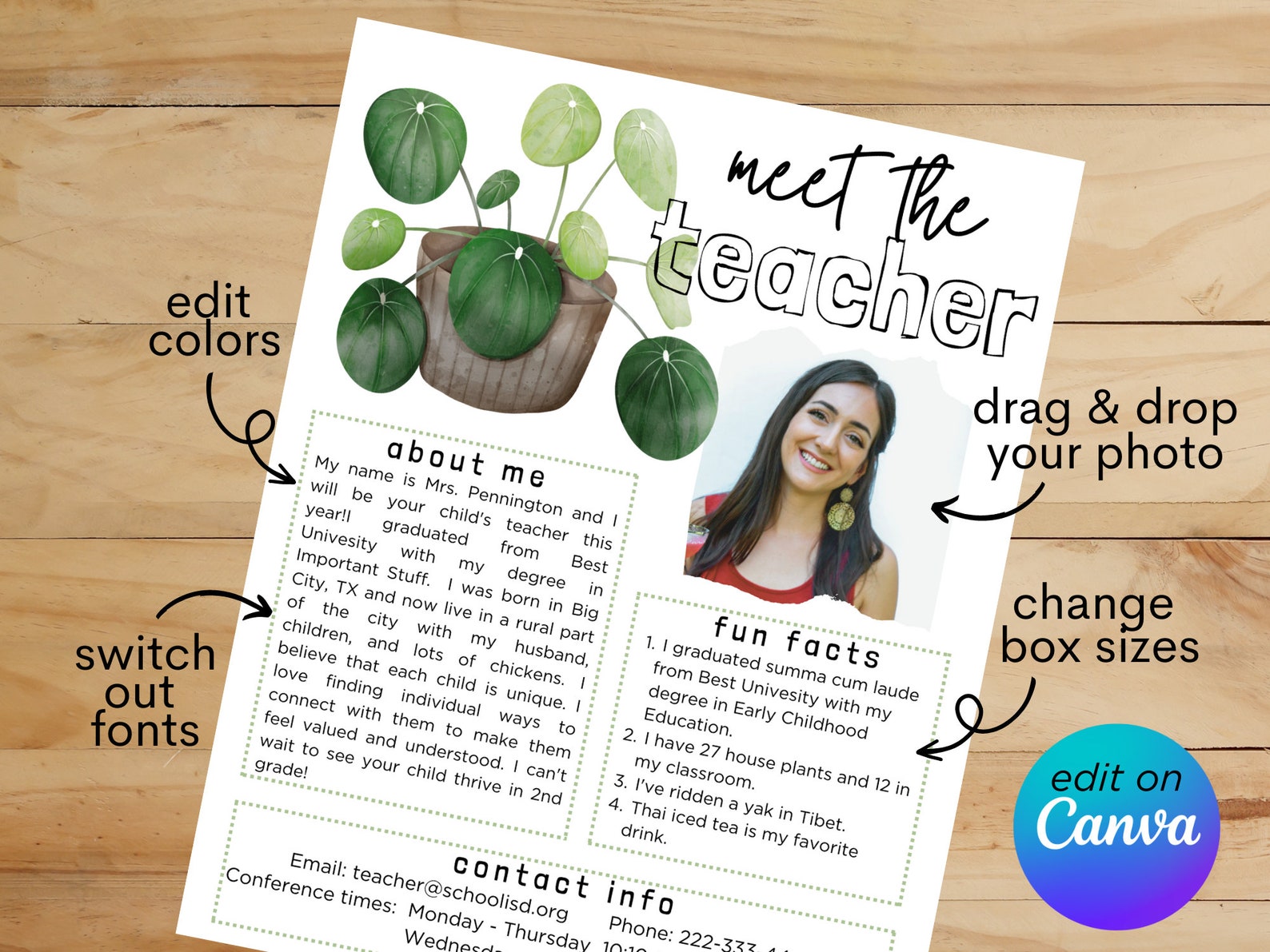 Meet the Teacher Letter Plant Theme Boho Houseplant Classroom Decor - Etsy