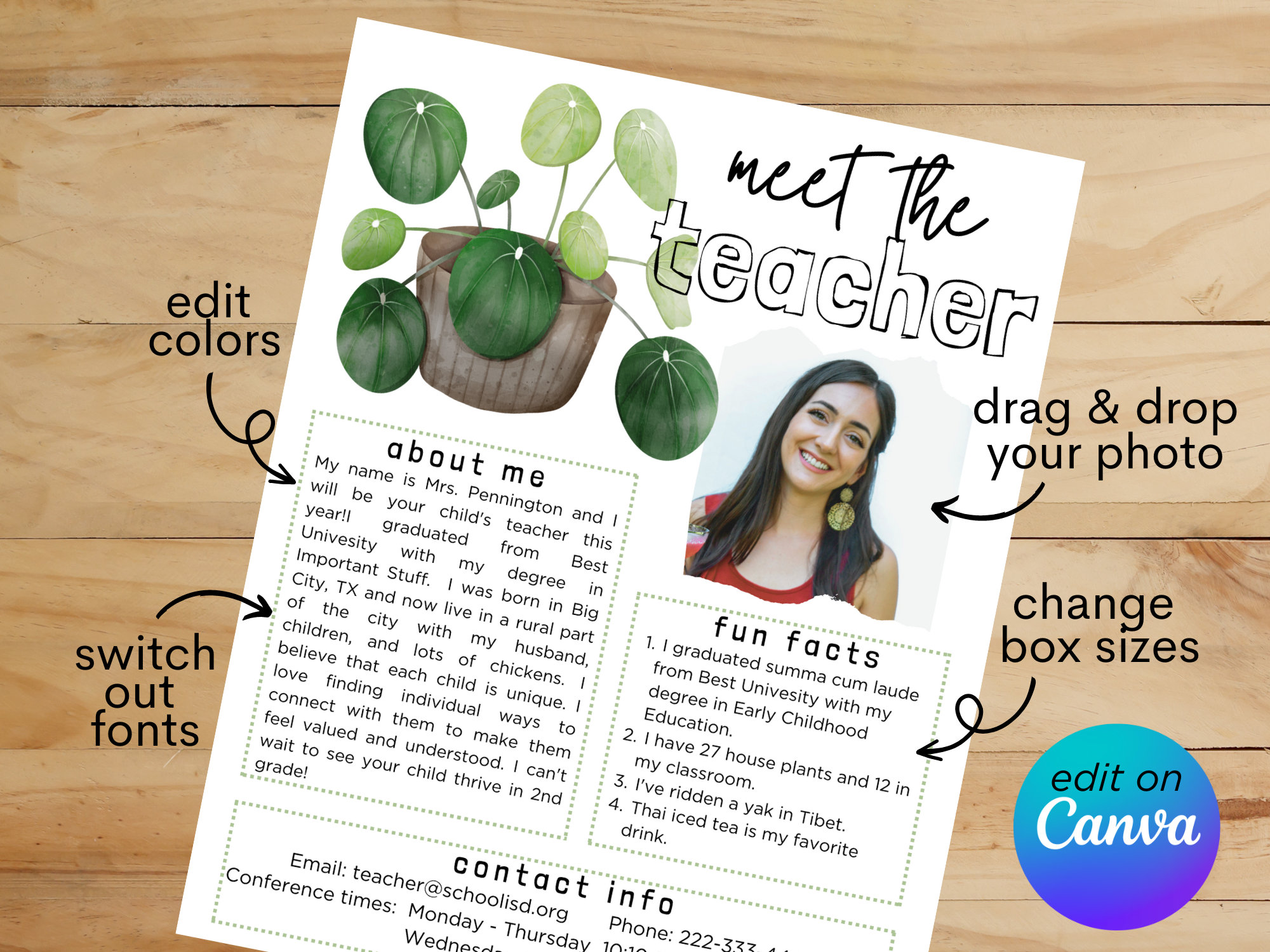 Meet the Teacher Letter Plant Theme Boho Houseplant Classroom Decor - Etsy