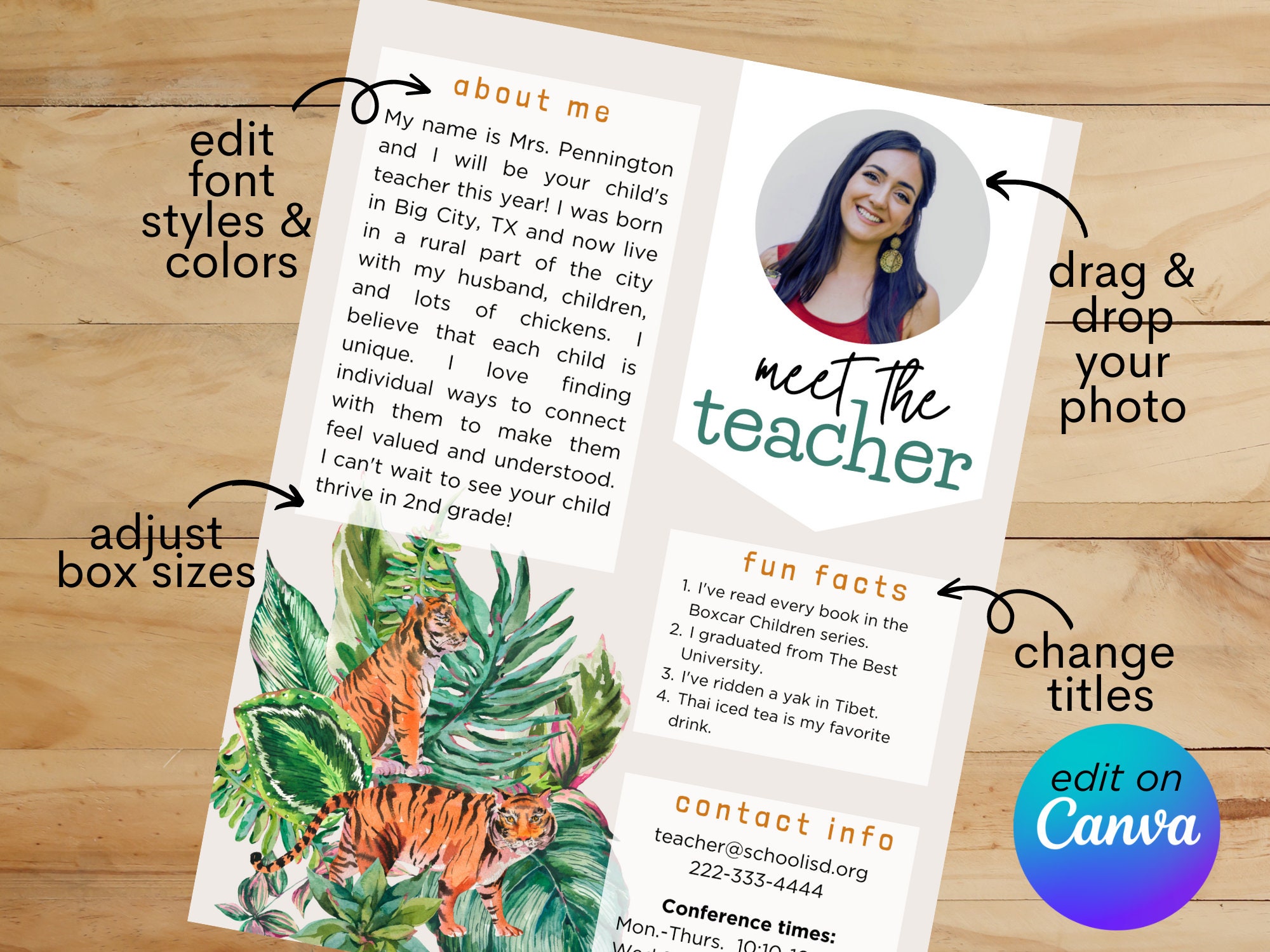 Editable Meet the Teacher Letter Jungle Theme - Boho Jungle Classroom ...