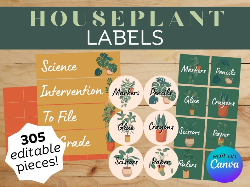 Boho Plant Theme Classroom Decor BUNDLE Houseplant Classroom - Etsy