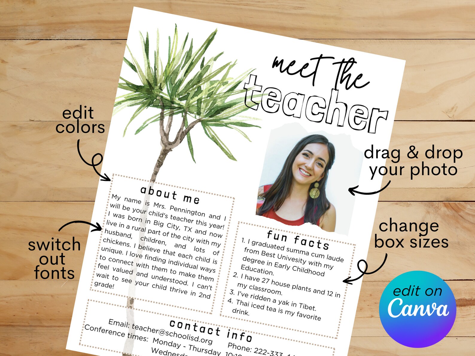 Meet the Teacher Letter Boho Plant Theme | Editable Letter Template for ...