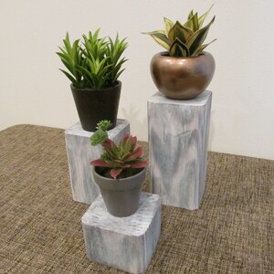 Wood Plant Risers, Set of 3 Distressed White Rustic Solid Block ...