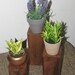 Wood Block Risers, Set of 3 Rustic Solid Block Pedestal Risers ...