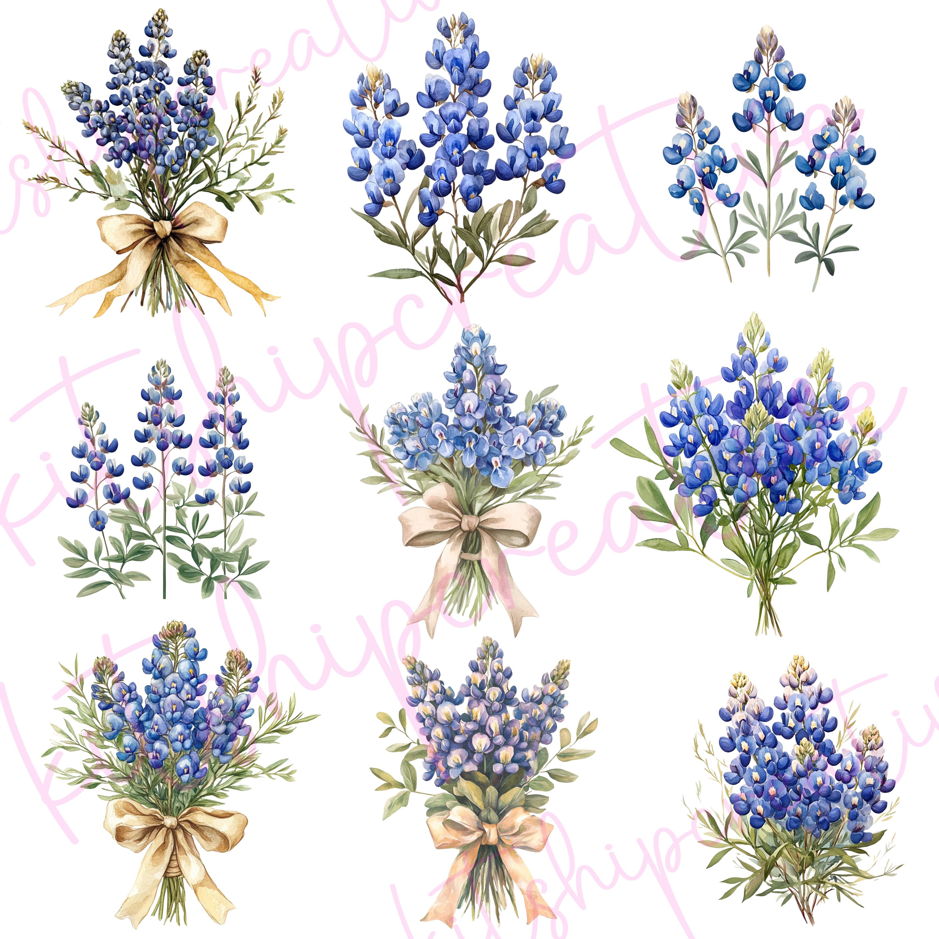 Bluebonnet Clipart, Watercolor Bluebonnet Clipart, Bluebonnet PNG ...