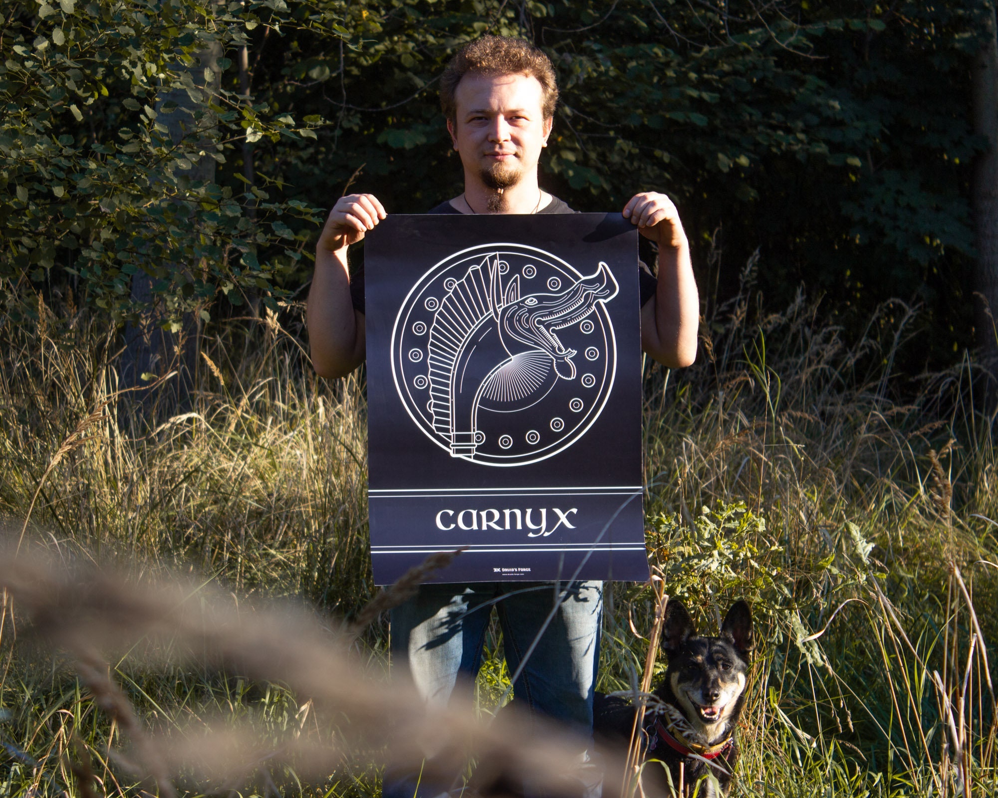 Celtic War-horn Carnyx Poster Celtic Poster Celtic Art Gift Viking ...