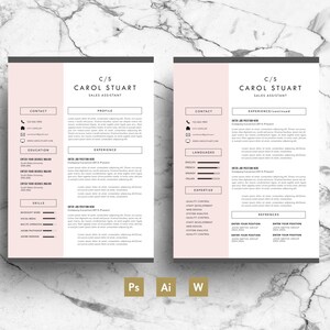 Professional Resume Template - Pink Gray Simple Modern Layout Two-page ...