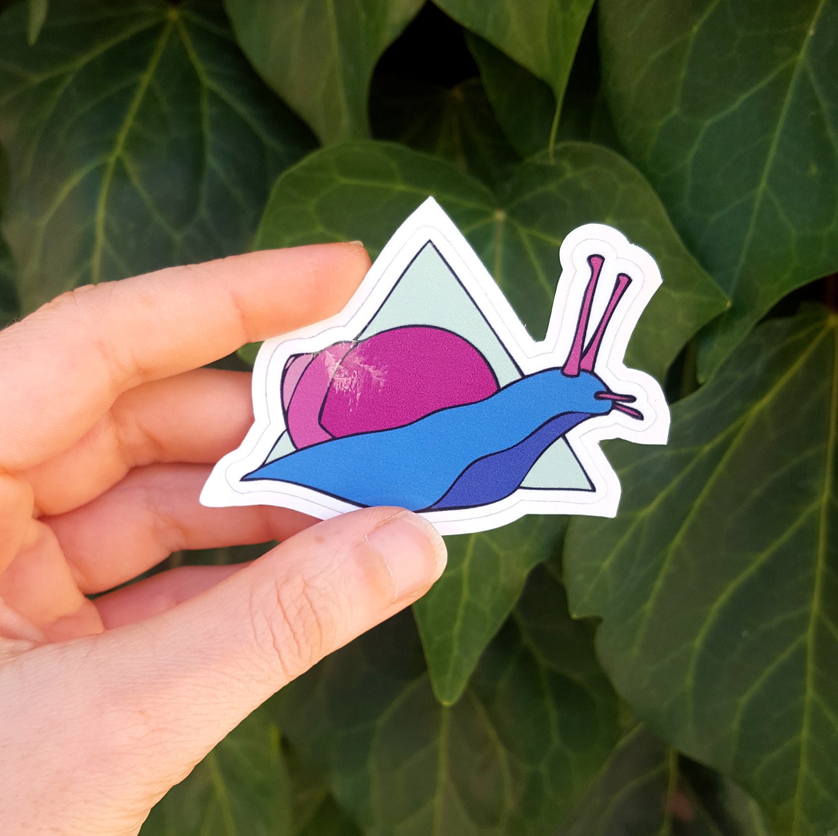 Hi Snail Sticker Illustrated Sticker Animal Lover Stickers Laptop ...