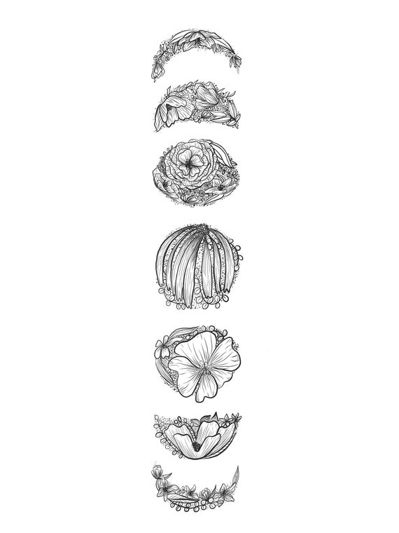 Floral Moon Phases | Etsy