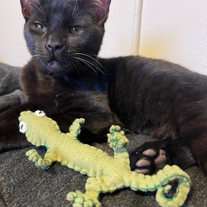 Catnip Cat Toy, Lizard, Cat Toy, Catnip, Lizard Cat Toy, Cat, Catnip ...