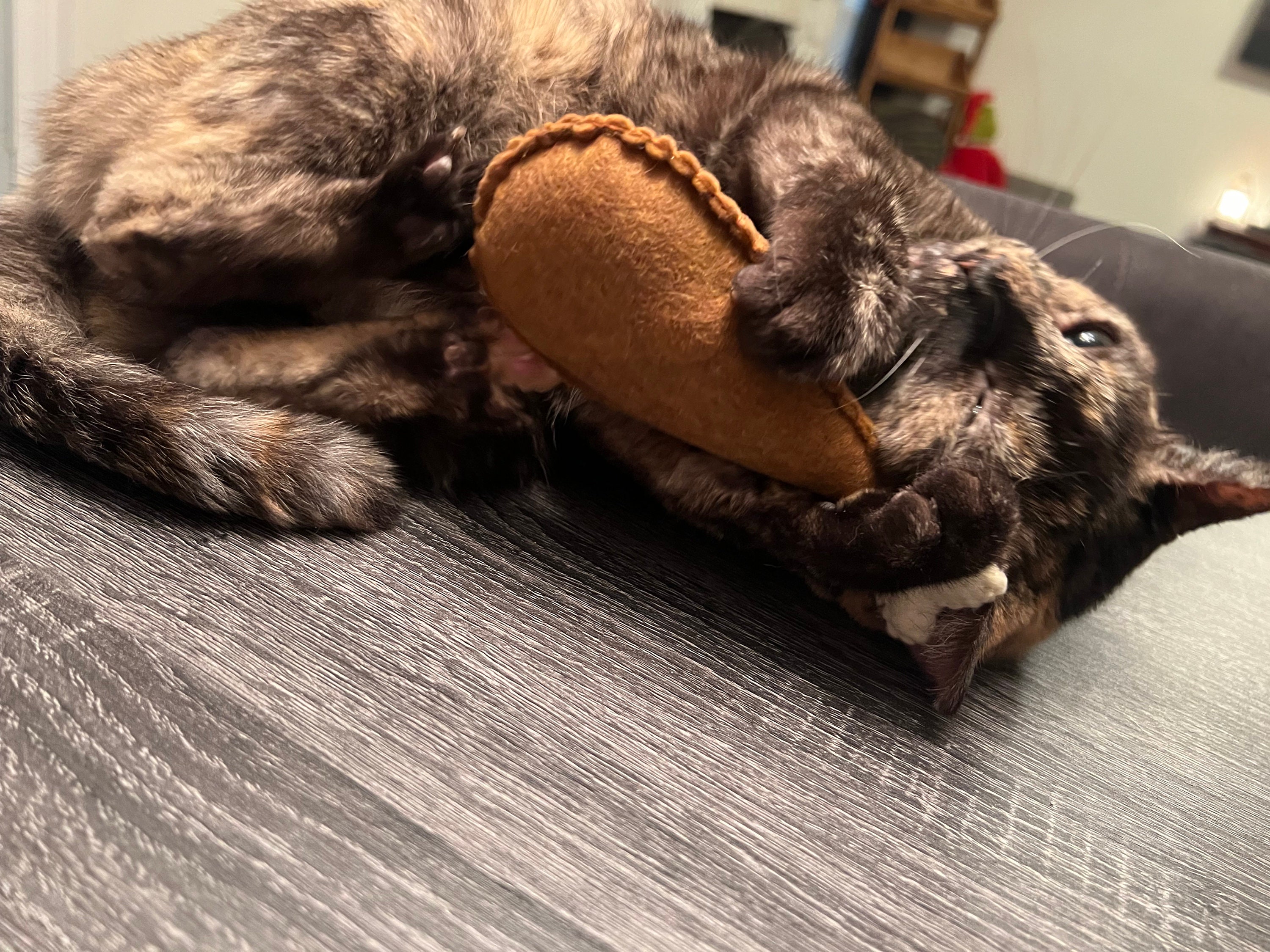 Turkey Leg Catnip Cat Toy, Handmade Interactive Cat Toy, Catnip Toy for ...