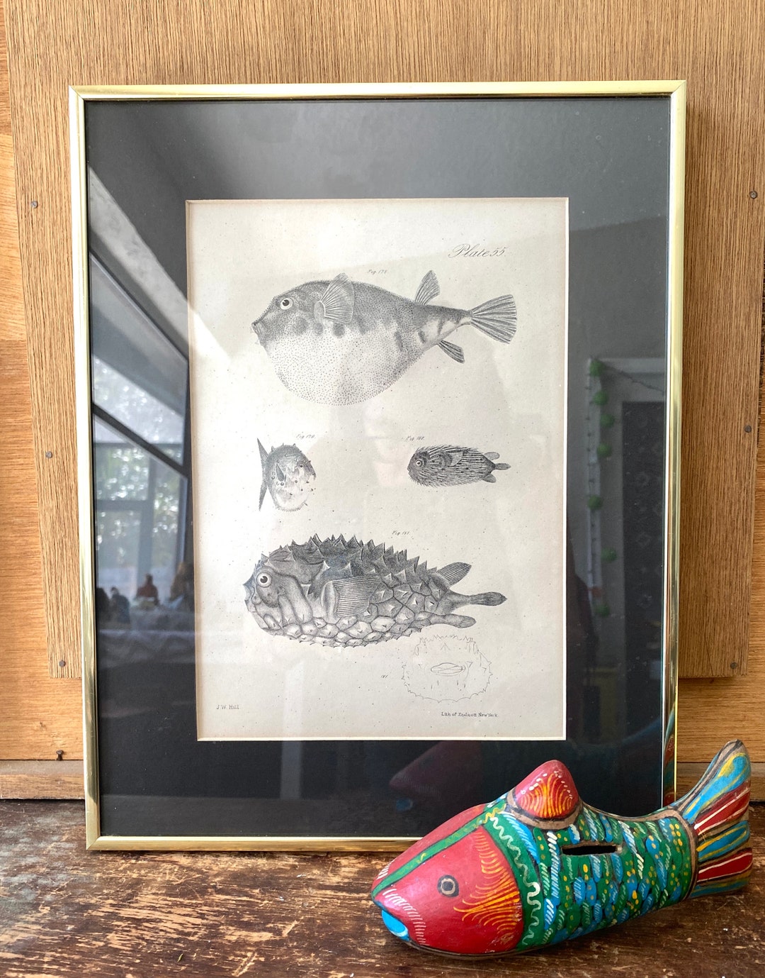 Vintage Puffer Fish Framed in Gold Metal Frames With Glass - Etsy