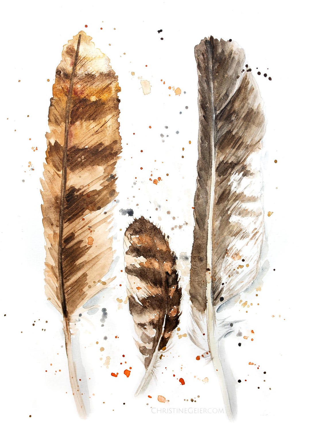 Feather Raptor Watercolour Artwork Fineart Print - Etsy