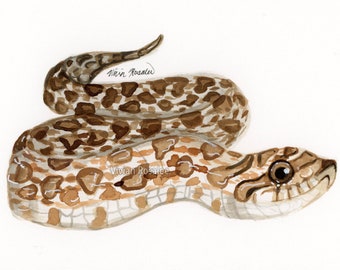 Hognose Snake Painting - Etsy