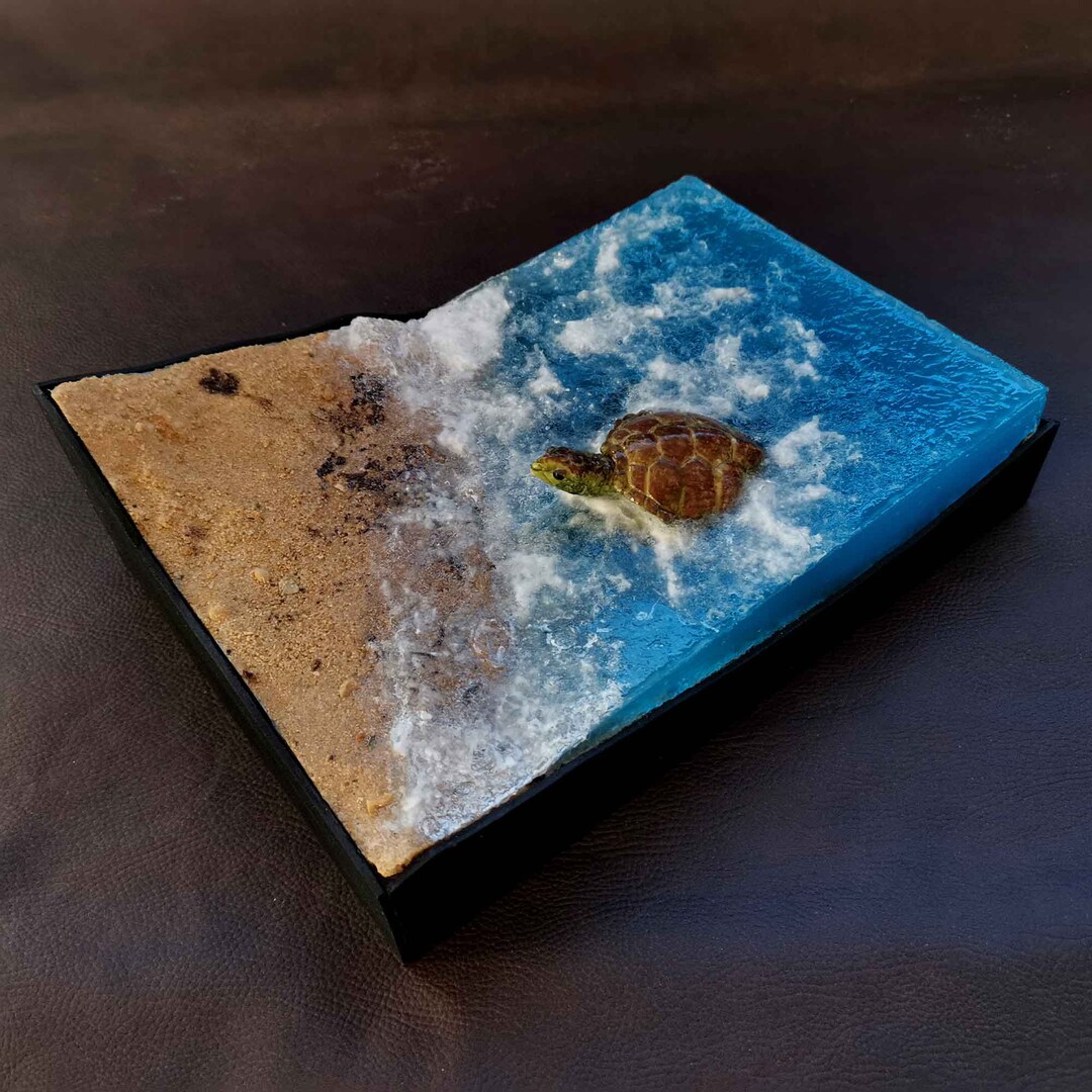 Turtle Diorama. - Etsy