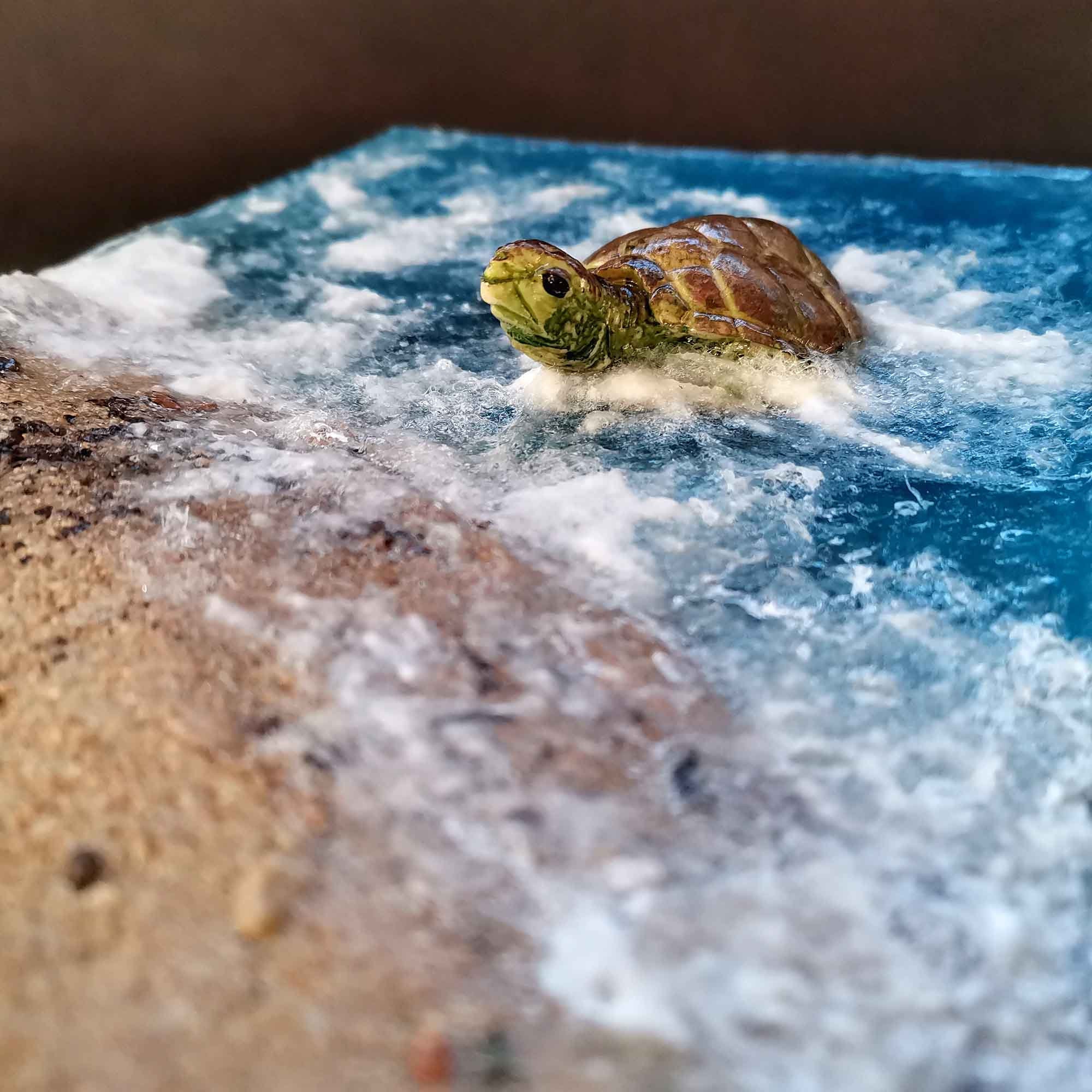 Turtle Diorama. - Etsy